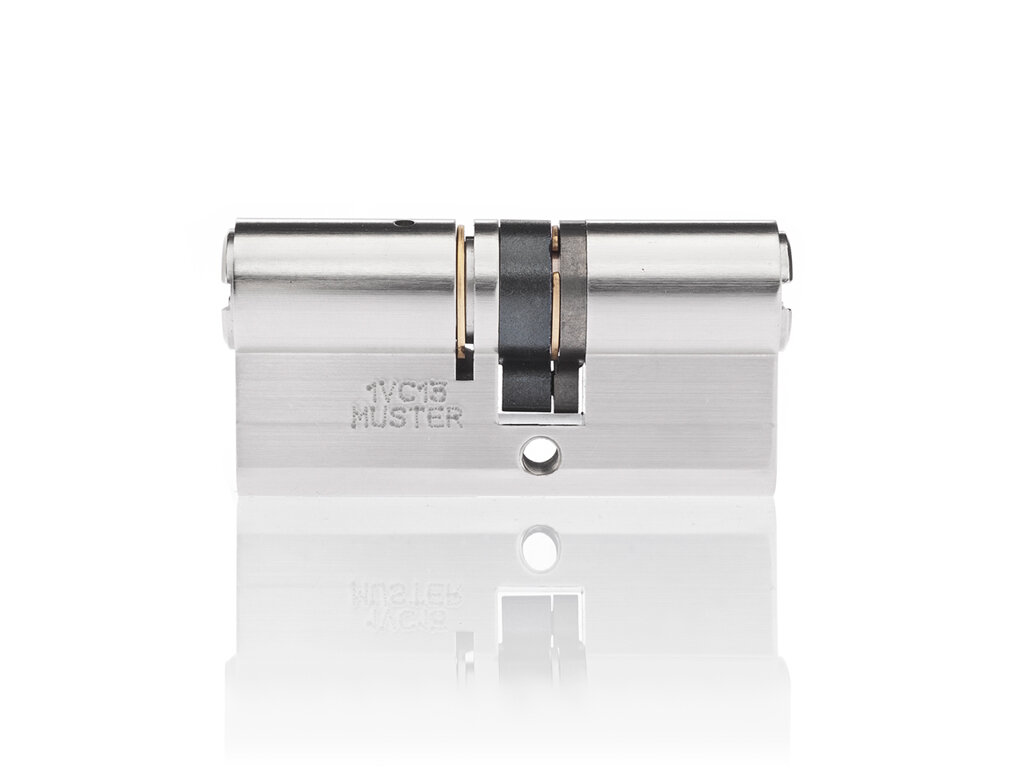 locking cylinder DOM ix Gamma dual-profile cylinder for existing lock